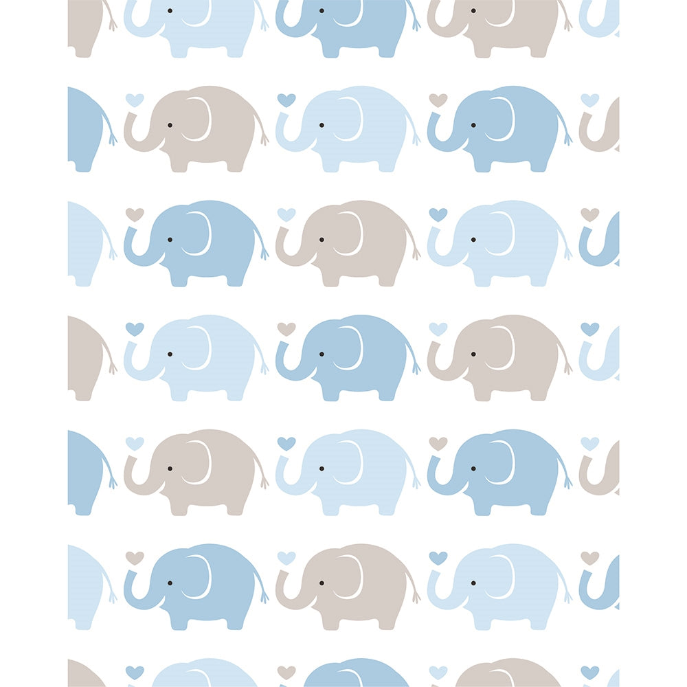 Collections – Backdrop Express Collections – Backdrop Express