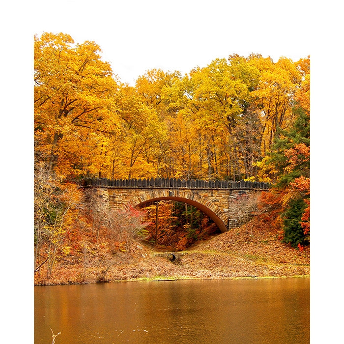 Bridge in Autumn Forest Printed Backdrop | Backdrop Express Bridge in ...