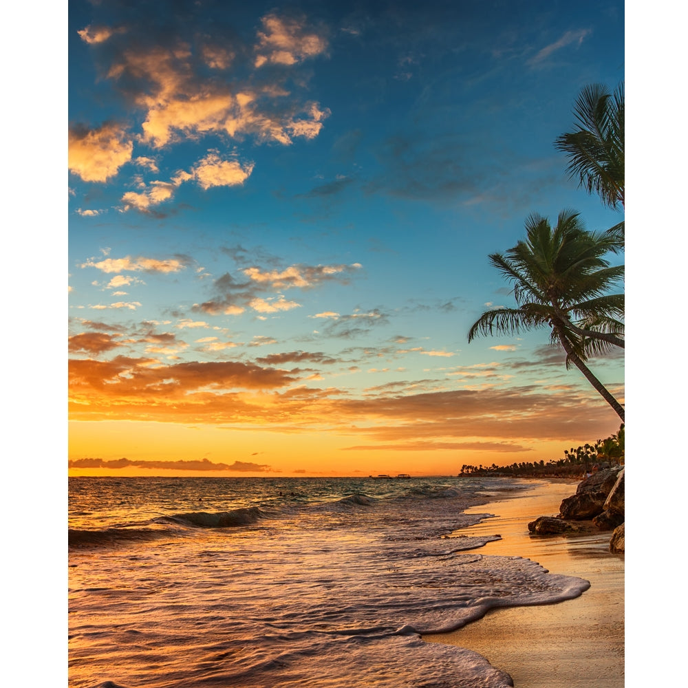 Sunset Backdrop