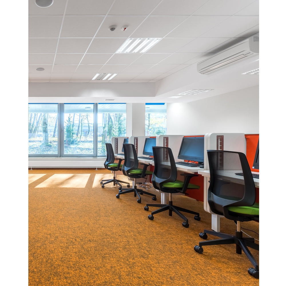 Computer Lab Printed Backdrop | Backdrop Express Computer Lab Printed ...