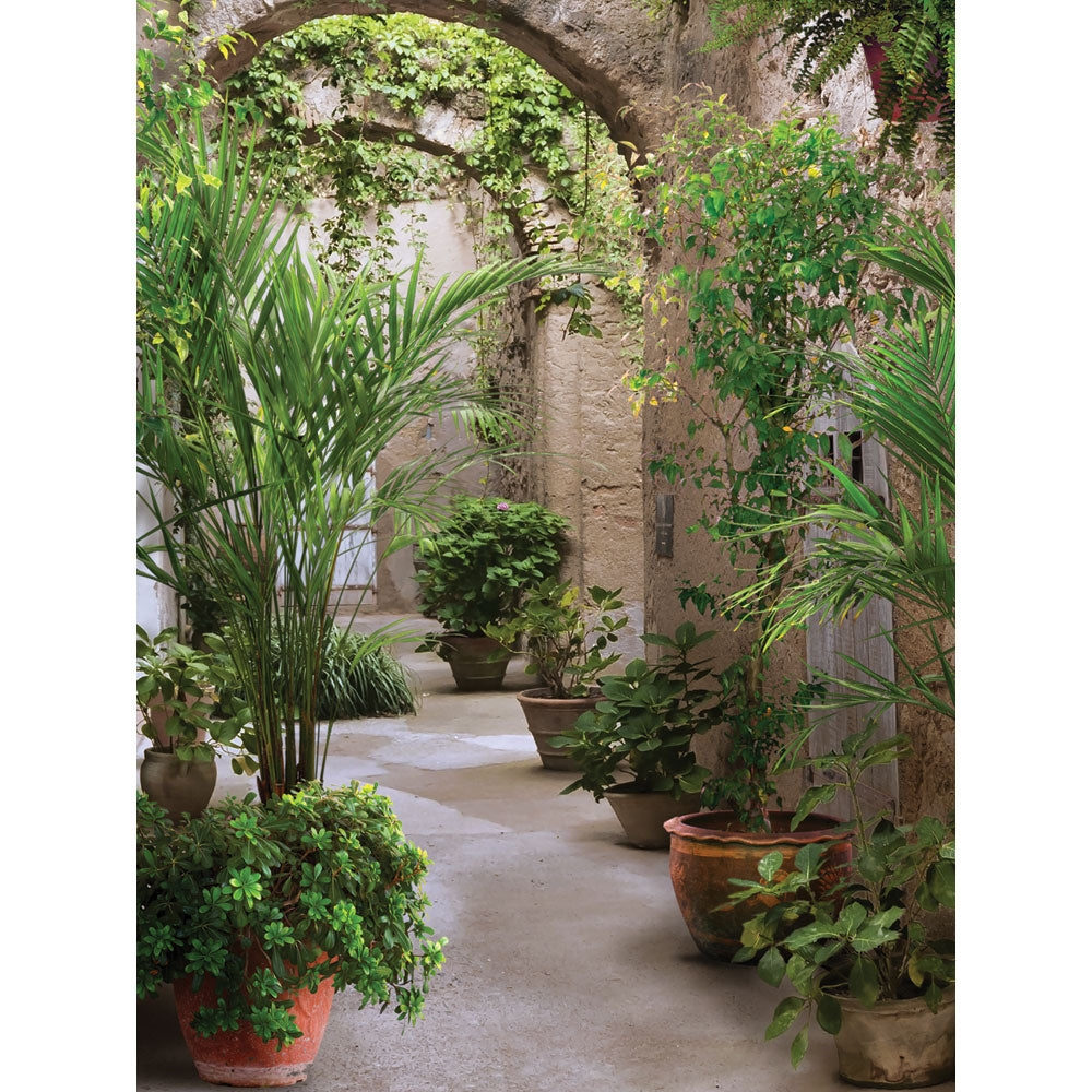 Courtyard Garden Printed Backdrop | Backdrop Express Courtyard Garden ...