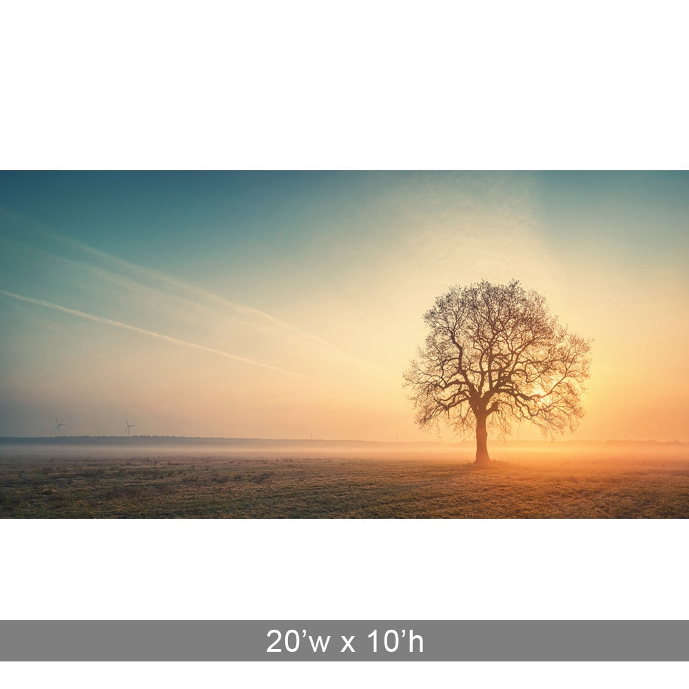 Hazy Field Printed Backdrop | Backdrop Express Hazy Field Printed ...